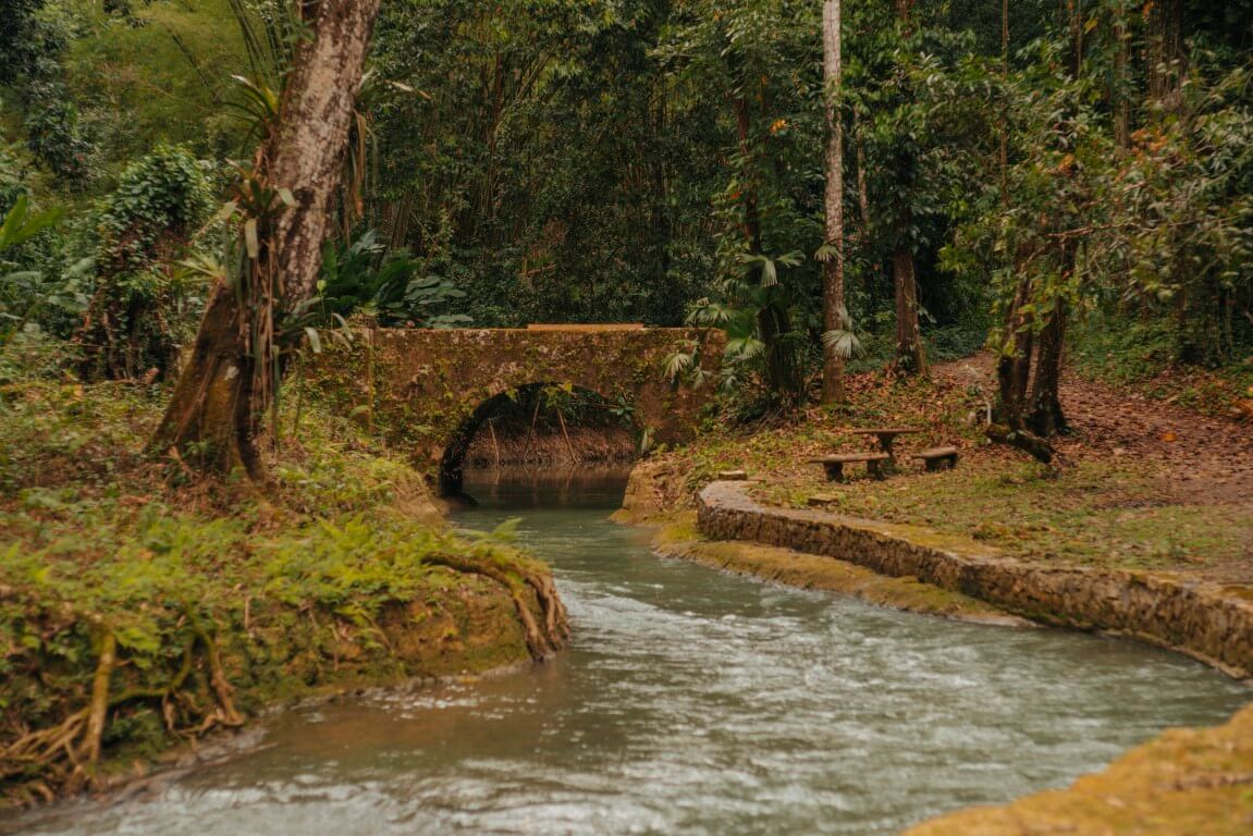 Practicum Program Internal